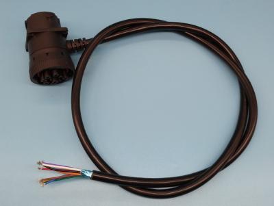 China Deutsch 9-Pin J1939 Black Female and Male Pass-through to Open End Cable for sale