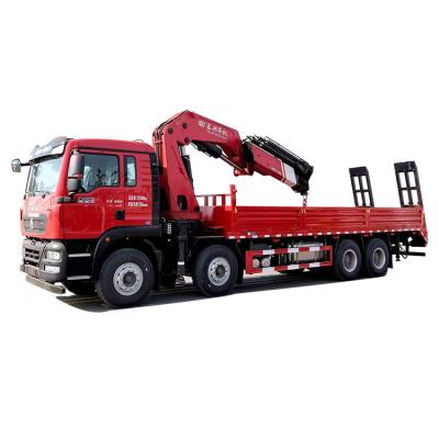 중국 유명한 핫 세일 덤프 트럭 Howo 8x4 12 휠 크레인 트럭 25톤 판매용