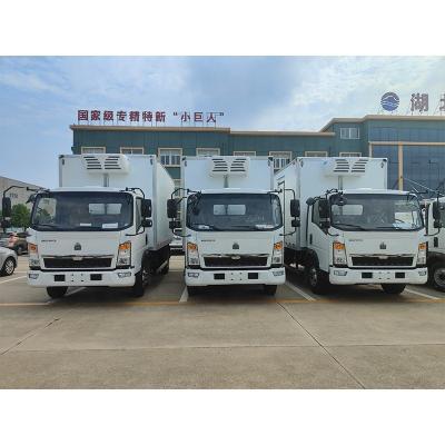 Cina SINOTRUK 4x2 LHD o RHD Autocarro Frigorifero con Cassone Thermo King in vendita
