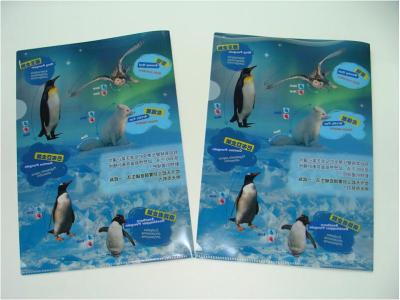 China plastic L shape file folder for document for sale