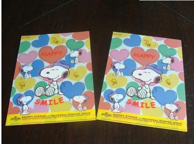 China hot selling clear plastic A4 L shape file folder for sale