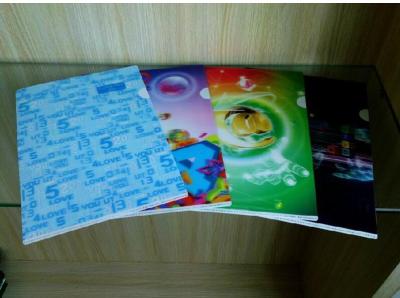 China cheap L shaped file folder for sale