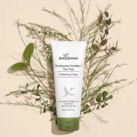 Quality Custom Logo Houttuynia Cordata Cleansing Foam With Tea Tree Acne Control And for sale