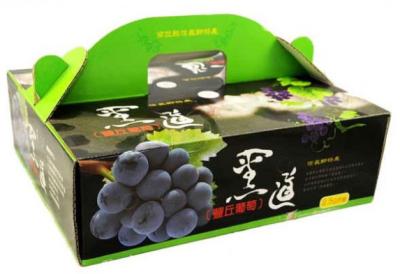 Chine Boîtes ondulées imperméables d'EB cannelure professionnelle de cartons d'expédition de fruit frais à vendre