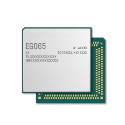 China Wireless Communication Module EG065KNAAA-M22-SNADA
 LTE Advanced Cat 6 Module
 for sale