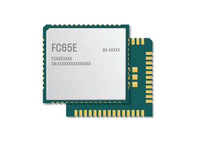 Cina FC65EAAMD Modulo di comunicazione wireless Wi-Fi 6E e BLE 5.3 Modulo LCC Fattore di forma in vendita