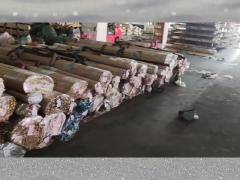 Copper Steel Bar C10100 C10200 C10500 C10700 C11000