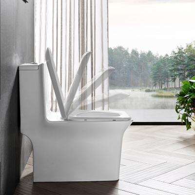 중국 듀얼 급증은 포함된 1조각 화장실 씨트를 연장했습니다 판매용