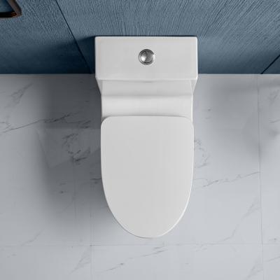 Cina Sciacquoni di un pezzo prolungate a livello doppie 0.9/1.3 getti del sifone di GPF in vendita