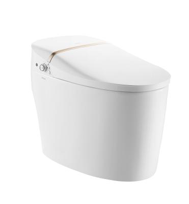 China Arrow Modern Smart Toilet with Siphon Jet Flushing One Piece Structure and Self-cleaning Smooth Glazed Ceramic for sale