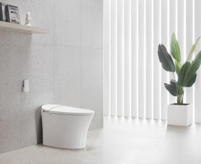 China Arrow Remote Control Modern Ceramic Smart Toilet Bidet with Concealed Tank for Bathroom for sale