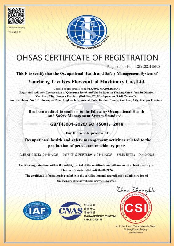 ISO 45001 - Hebei E-valves Petroleum Equipment Co., Ltd.
