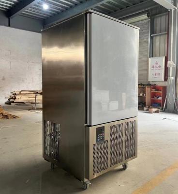 China Cold Room Blast Freezer Machine 10 Trays for Meat Fish Lobster for sale