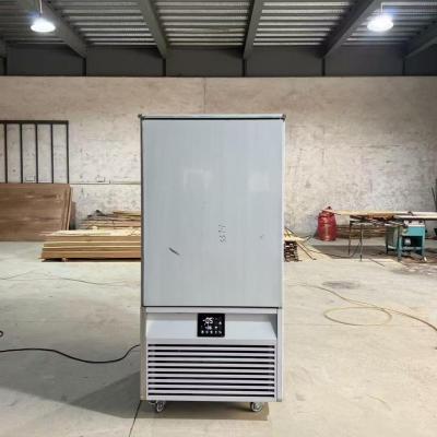China Gelato Seafood Blast Freezer Short Blast Deep Freezer Machine 10 Layers for sale