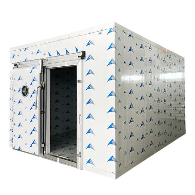 China Commercial Walk In Cold Room 24 Hour Fast Cooling 100mm Panel Thickness for sale