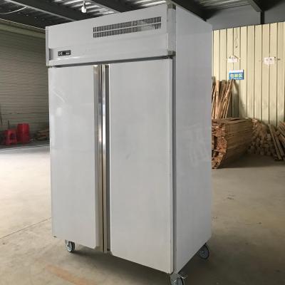 China Hotel Kitchen Fridge Vertical Restaurant Refrigerator 2 Door Upright Freezing Freezer for sale