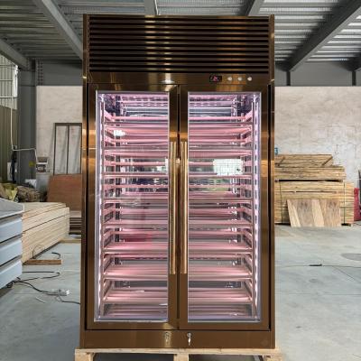 China Wine Cooler Fridge Quiet Operation Wine Refrigerator Cabinet Perfect for Wine Collection and Display for sale