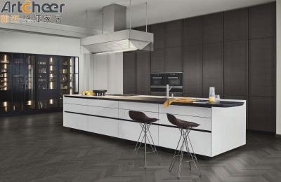 Cina Gabinetto Cucina Gabinetto Profilo in alluminio Mobili di design moderno con materiale HPL di grado E0 in vendita