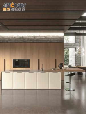 Cina Moderno immagazzinamento inossidabile in cartone di particolato Industrial Stainless Steel cucina armadio con porta in vendita