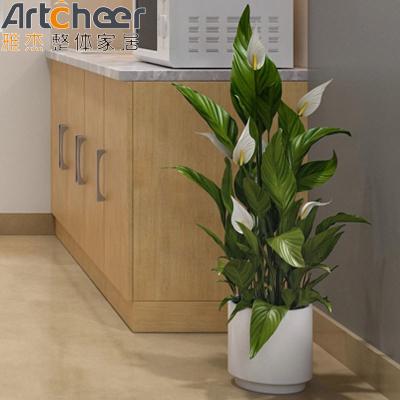 China Small Size I Shape Kitchen Cabinets With Sink And E0 Grade Material In Lacquer Finish for sale