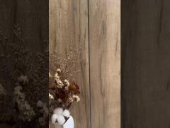 Carrelage de sol en porcelaine aspect bois surface mate 200x1000mm