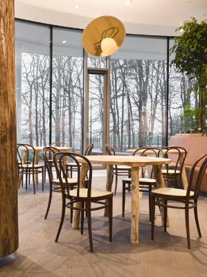 Cina la sedia dei bistrot di Bentwood di altezza di 84cm/caffè di Bentwood presiede Eco amichevole in vendita