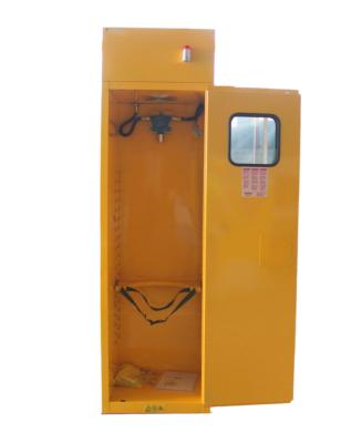 China Laboratories Single Cylinder Gas Storage Cabinet Practical Solution For Controlled Gas Handling for sale