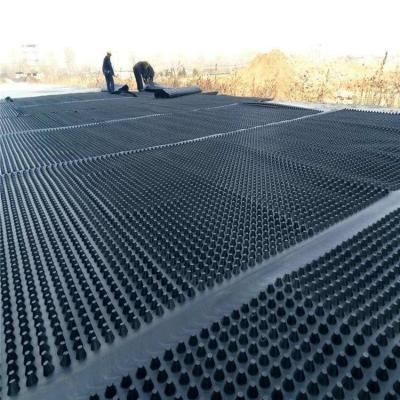 China Durable HDPE Plastic Drainage Board Foundation Reinforcement Drain System for sale