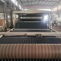 China PVC Plastic Drainage Board Fast Installation Vertical Drain System for sale