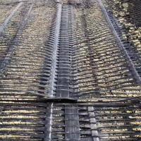 China 50KN M 80KN M Composite Geo Grid Ground Grid Polyethylene for sale