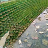 China Load Distribution  Geocell Grid Driveway Civil Engineering Hdpe Geocells for sale