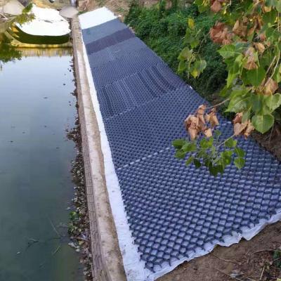 China Retaining Wall Construction Geocell Solutions 200mm Soil Reinforcement Geocell Driveway for sale