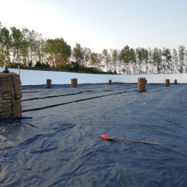 Quality Mining Tailings Pond Hdpe Geomembrane Sheets Environmental Geomembrane Fabric for sale