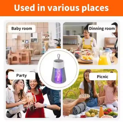 China Rechargeable Type 2 in 1 LED UVA Trap Light Indoor Anti Mosquito Lamp Fly Cather Rechargeable Mosquito Zapper for sale