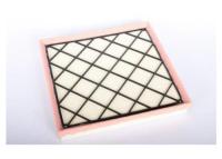 China Air Filter(Air Supply) 13272719 for sale