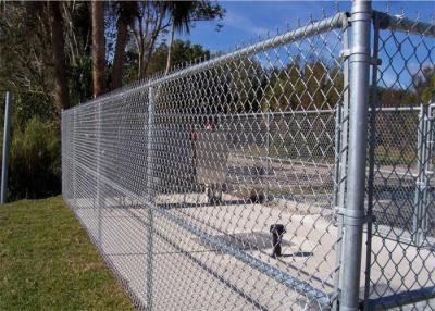 China 2.5mm 2m Height Plastic Coated Chain Link Fencing Airport Security Cyclone Mesh for sale