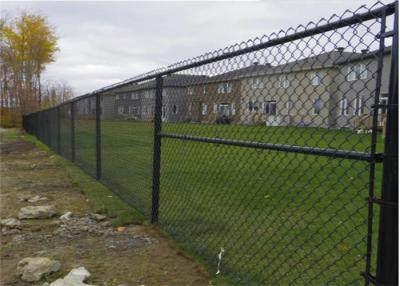 Cina Cavo a 2 pollici Mesh Fence Galvanized Pvc Coated del collegamento a catena di 60x60mm in vendita