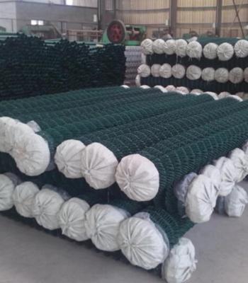 Cina L'iso 9 dello SGS misura la recinzione nera di Cyclone Chain Wire del recinto del collegamento a catena in vendita