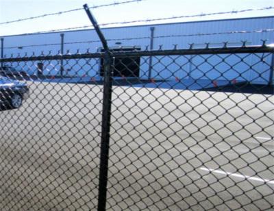 Cina Tessuto d'acciaio galvanizzato del recinto del collegamento a catena, 4 piedi di altezza del collegamento a catena di rete metallica in vendita