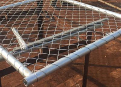 Cina Portone galvanizzato caldo del recinto di lunghezza a catena di 75X75MM per l'iarda delle pecore in vendita