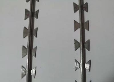 Cina concertina del cavo del rasoio diritto del diametro di lunghezza 2.5mm di 6m in vendita