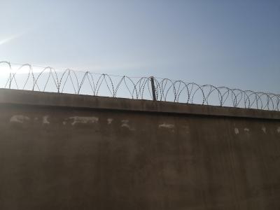 Cina Diametro a fisarmonica galvanizzato immerso caldo 500mm del cavo del rasoio Bto-12 600mm in vendita