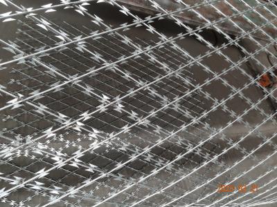 Cina 100x150 industriale d'argento BTO-18 ha saldato il rasoio Mesh For Fence Protect in vendita