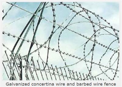 Cina Le lame taglienti hanno saldato il rasoio Mesh Fence della bobina di 700 800 900mm in vendita