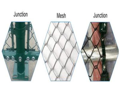 Cina 9 calibro 50mm 6 piedi di recinto rivestito verde Fabric Galvanized Diamond Mesh Wire For Farm del collegamento a catena in vendita