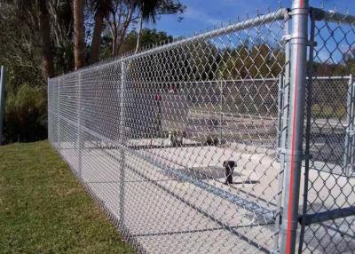 Cina Ferro 1.5m 4 Ft di verde del collegamento a catena del recinto di vinile di Galvanized Pvc Coated ricoperto in vendita