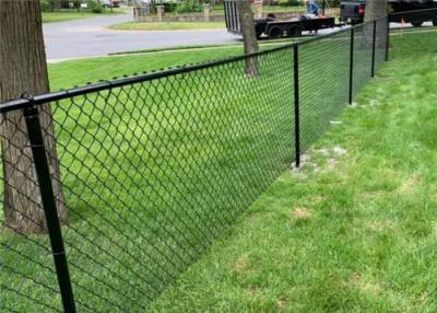 Cina Collegamento a catena crescente Mesh Fence Sheep Farm di area del bestiame/azienda agricola dell'asino in vendita
