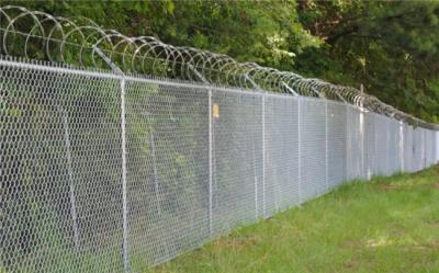 Cina Un collegamento a catena Mesh Fence Diamond Wire Coiled da 50 Ft di lunghezza ed accessori in vendita