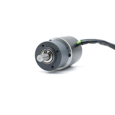 China Nema1742bly01a-005ag62 1.6N.M 56RPM 0.25A Brushless Gelijkstroom Motor met 1:62versnellingsbak Te koop