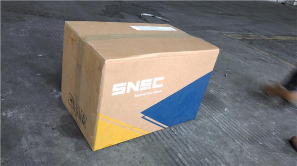 Quality SNSC Electric Forklift 2.5 Ton Fork Lifter 2500kg Load Capacity for sale